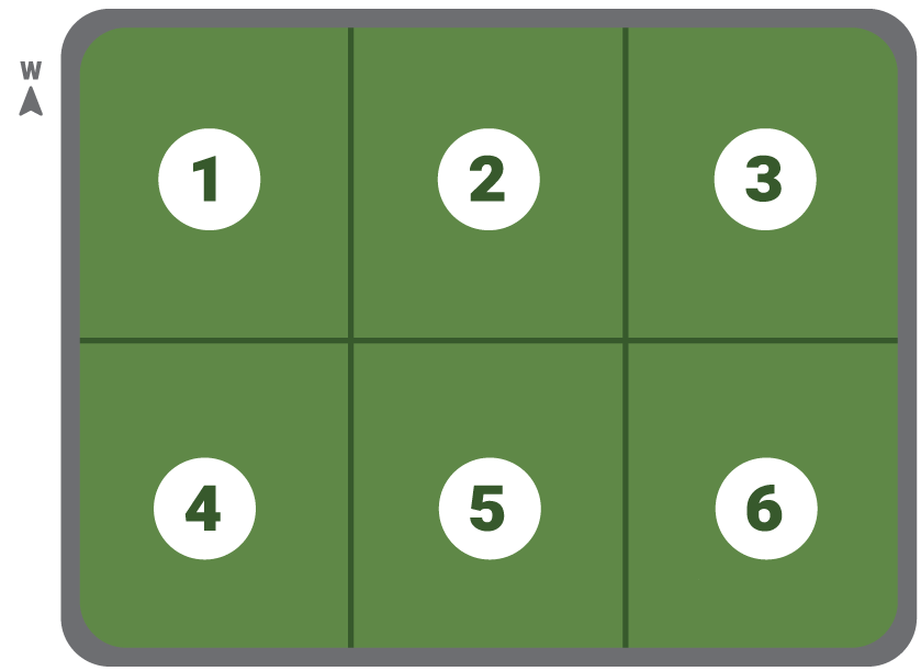 Youth Sports | CCV | CCV Stars